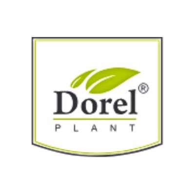 Dorel Plant | Solaris Plant