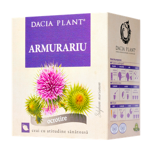 Dacia Plant | Solaris Plant