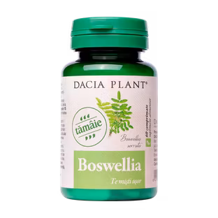 Dacia Plant | Solaris Plant