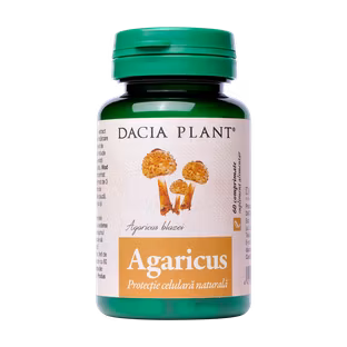 Dacia Plant | Solaris Plant