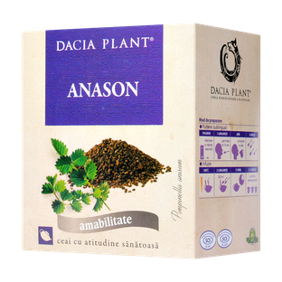 Dacia Plant | Solaris Plant