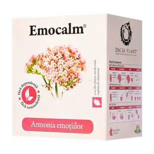 Dacia Plant | Solaris Plant